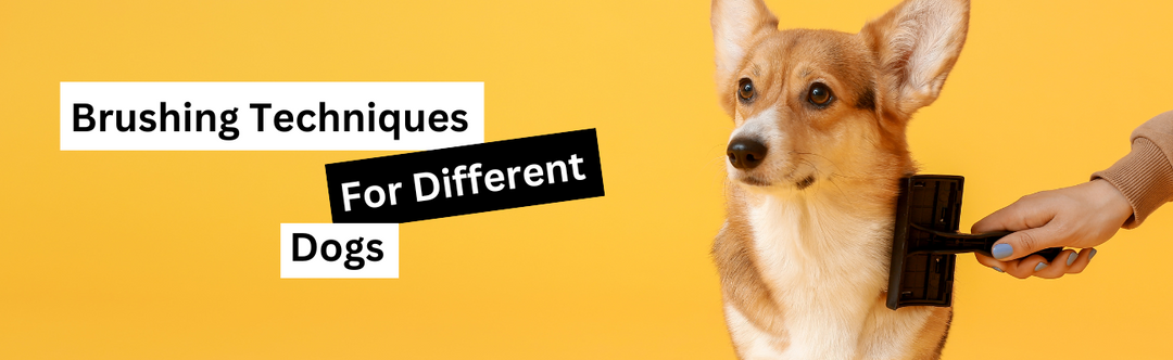Double Coat Dilemmas: Brushing Techniques for Different Dog Fur Types ...