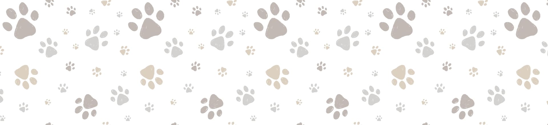 Buy Puppy Hygiene Products Online | Premium Hygiene Essentials for Pups ...