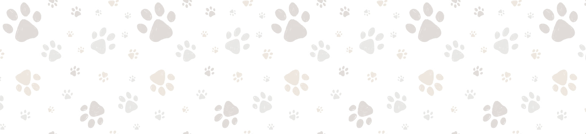 Shop Pet Hygiene Products Online | Premium & Trendy Collection for Dogs ...