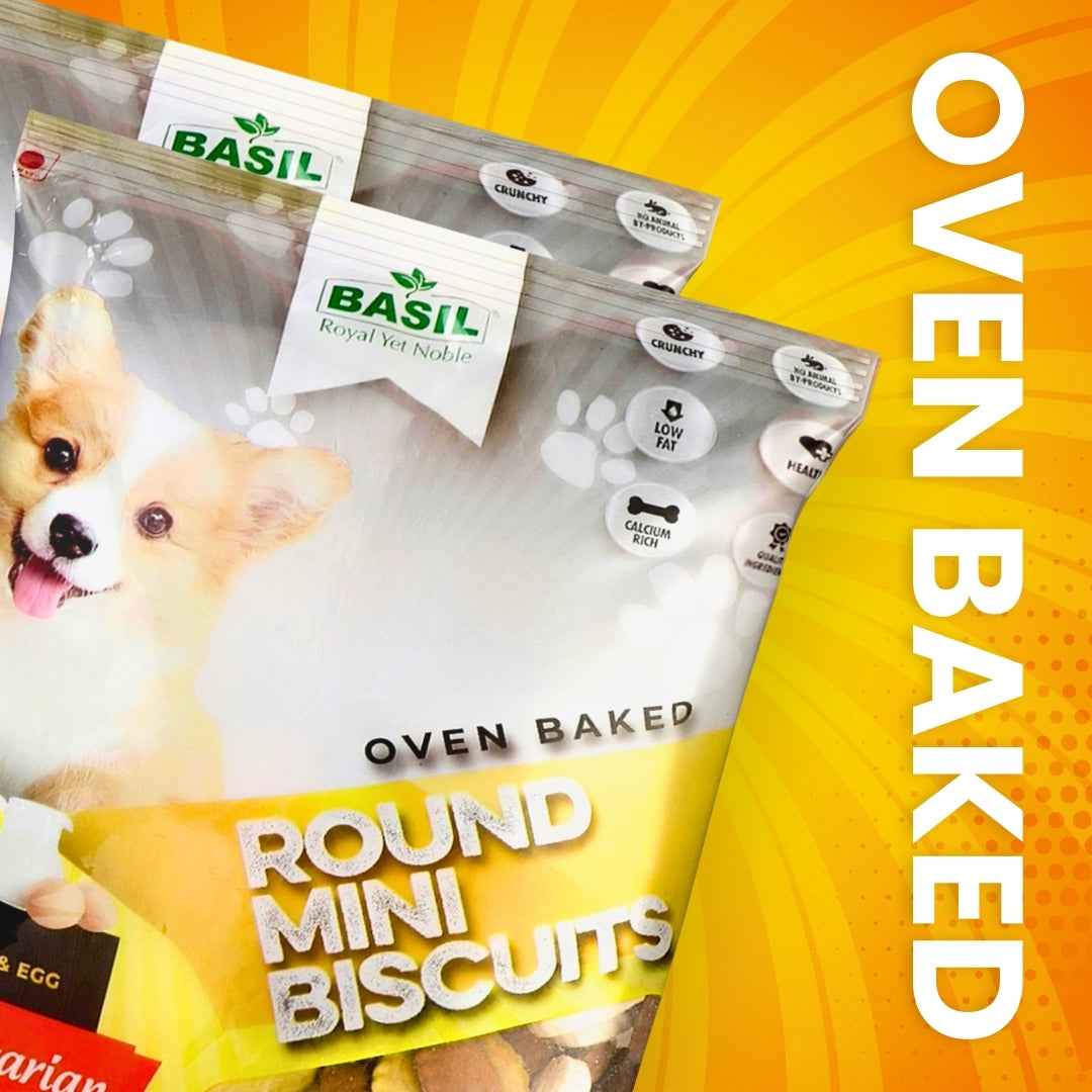 Dog Biscuits, Round Shaped, Chicken Flavor - Suitable for All Breeds ...